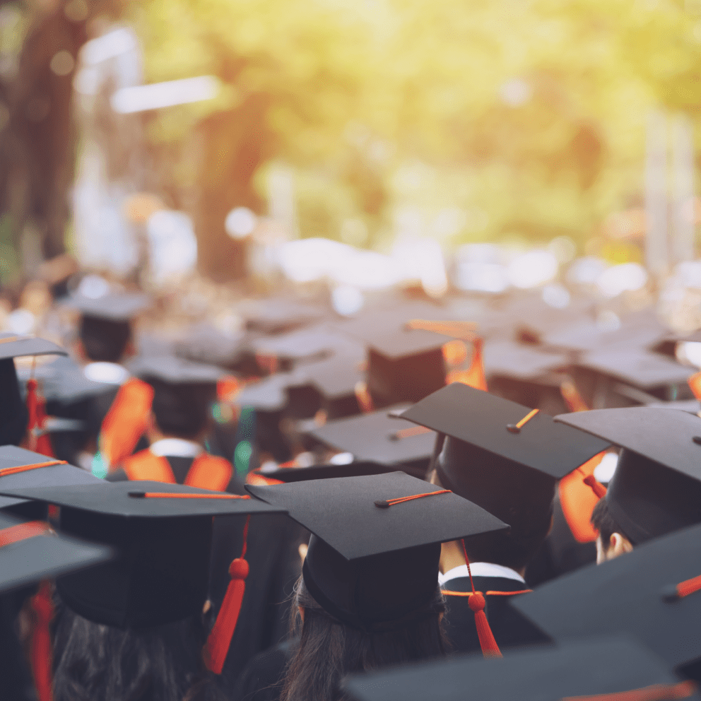 Alumni Engagement | Campbell & Company