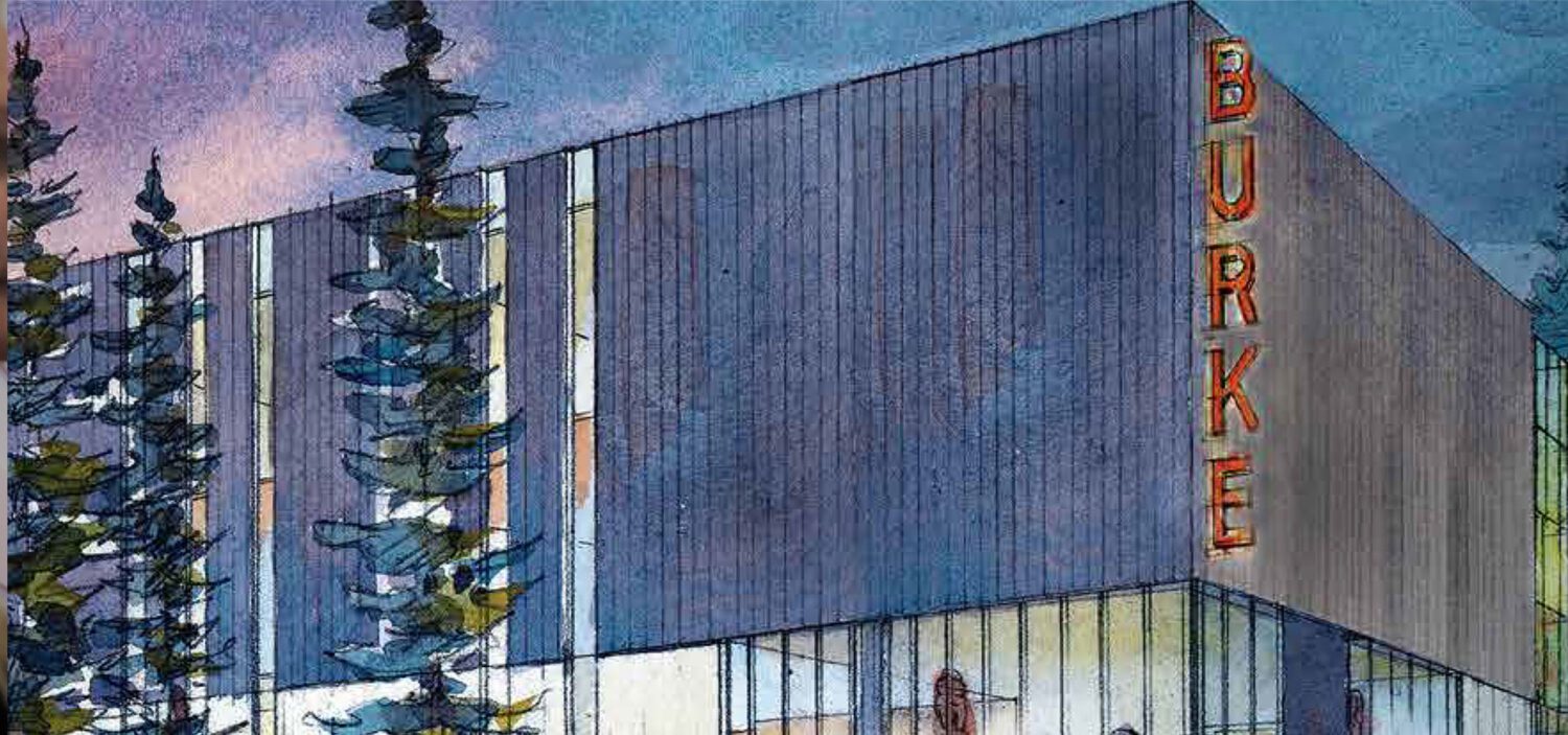 Burke Museum of Natural History and Culture | Campbell & Company