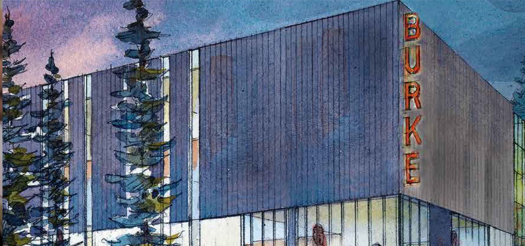 Burke Museum of Natural History and Culture | Campbell & Company